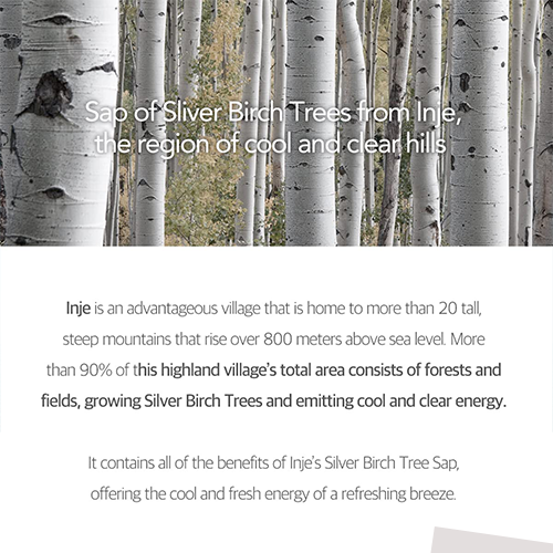 Round Lab Birch Juice Tone Up Sunscreen SPF50+ PA+++ in NZ – Hive K ...